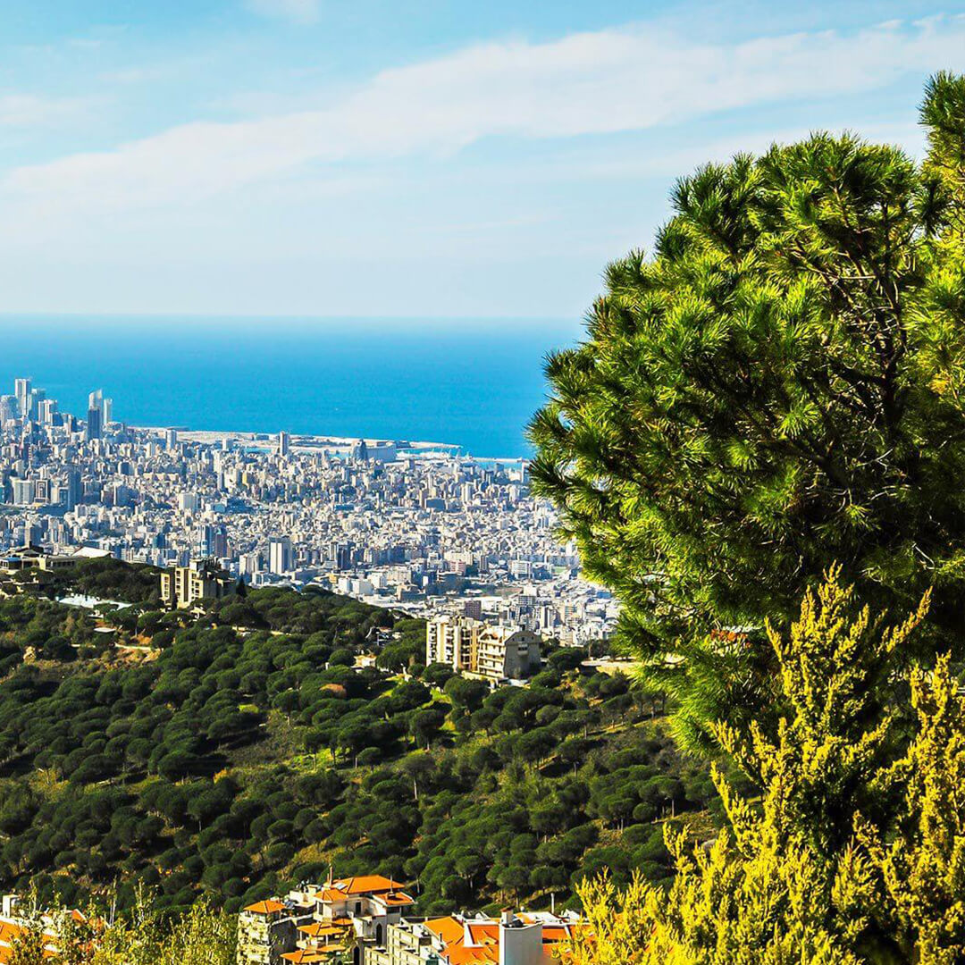 Cayan Group – Real Estate Investment & Development